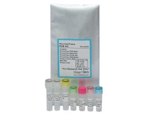 PCR Conventional – BioScience Diagnostics Pte Ltd